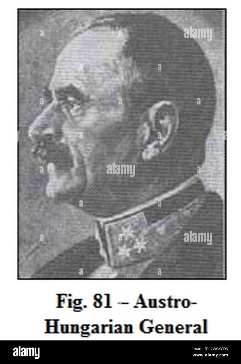 Austro-Hungarian General of Dinaric type Stock Photo - Alamy