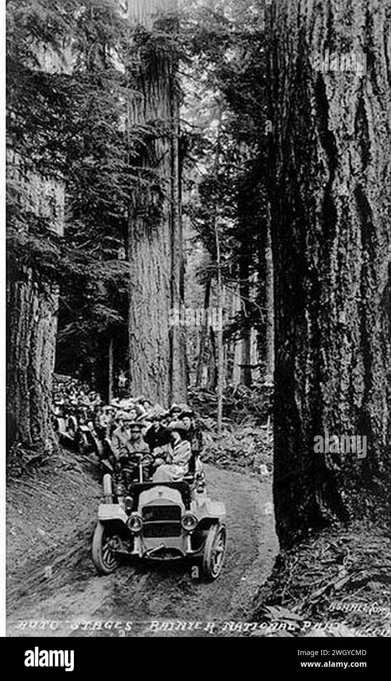 Auto stages, or tour buses, in Mount Rainier National Park, Washington ...