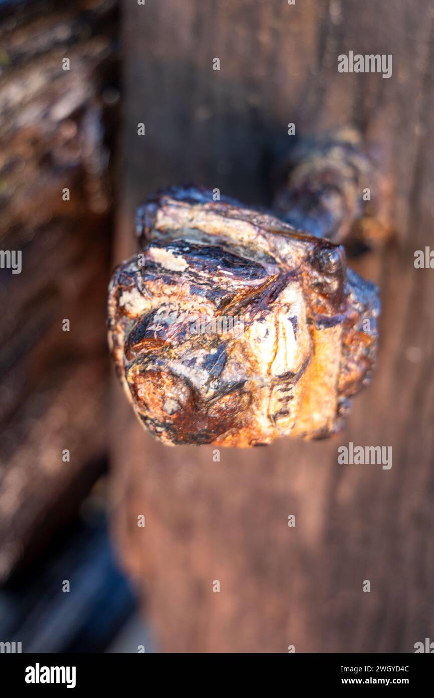 Bolt retirement hi-res stock photography and images - Alamy
