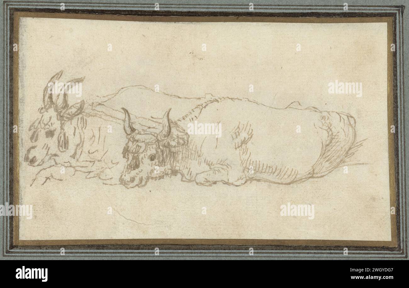Two lying buffalo under a yoke tense, Claude Lorrain, 1630 - 1640 ...
