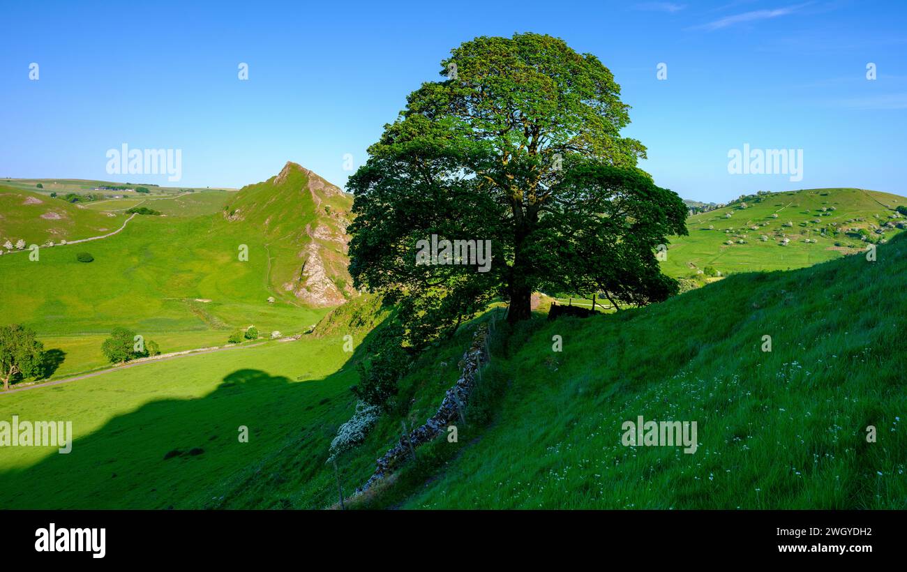 Buxton, UK - June 4, 2023: Summer evening light over Parkhouse Hill ...
