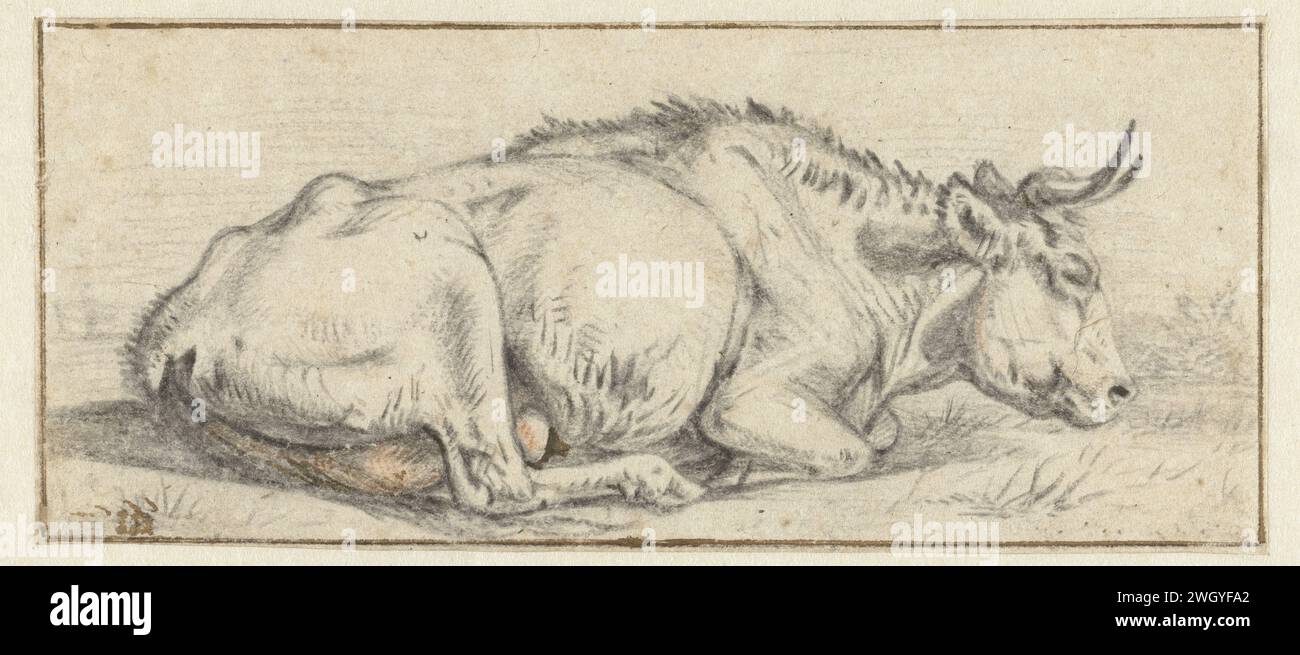 Lying cow, Jan Dasveldt, 1780 - 1855 drawing paper. chalk cow Stock ...