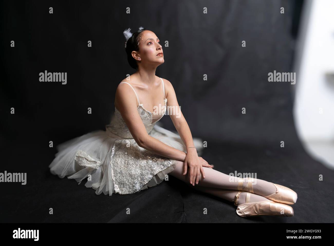 The "White Swan" represents innocence, purity and perfection, while the ...