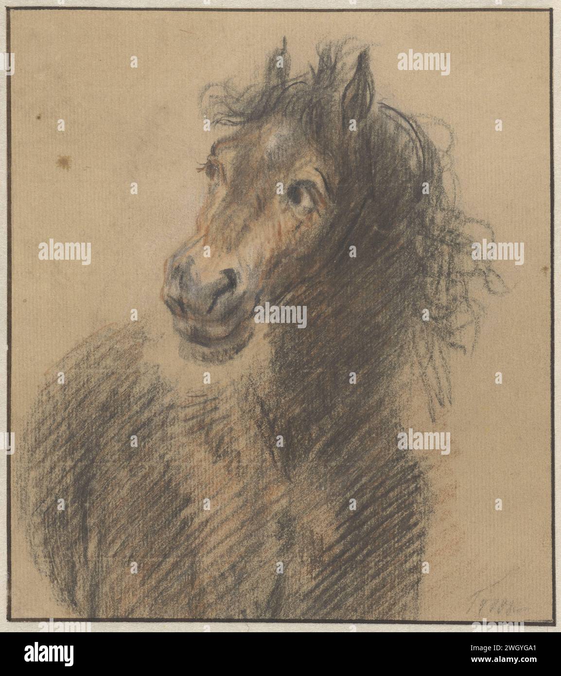 Horse, seen from the front, the head to the left, Cornelis Troost, 1706 ...