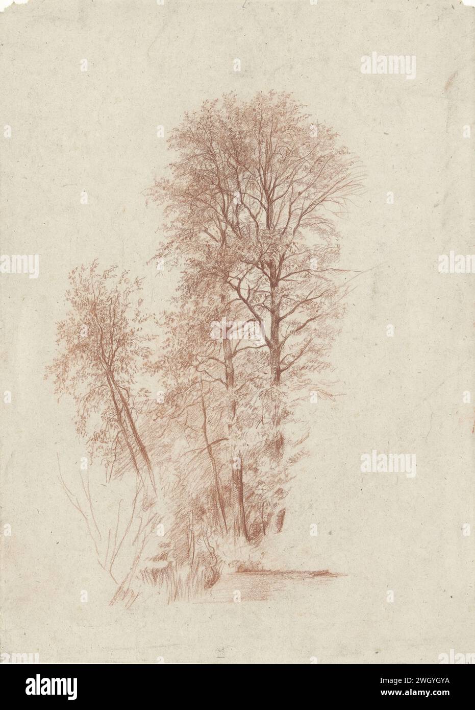 Study of two slender and only smaller trees in sheet, Charles -François ...