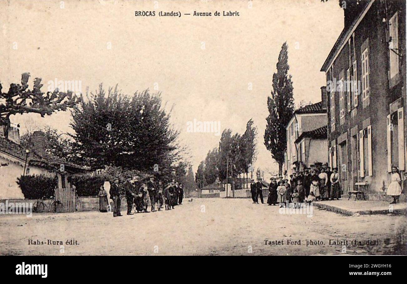 Labrit hi-res stock photography and images - Alamy