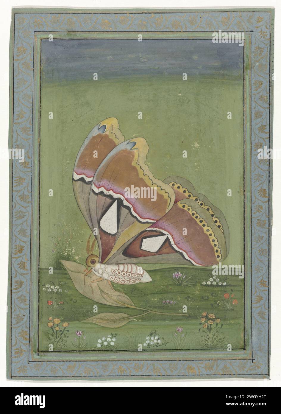 Atlasvlinder, anonymous, 1605 - 1628 Indian miniature. drawing Image of ...