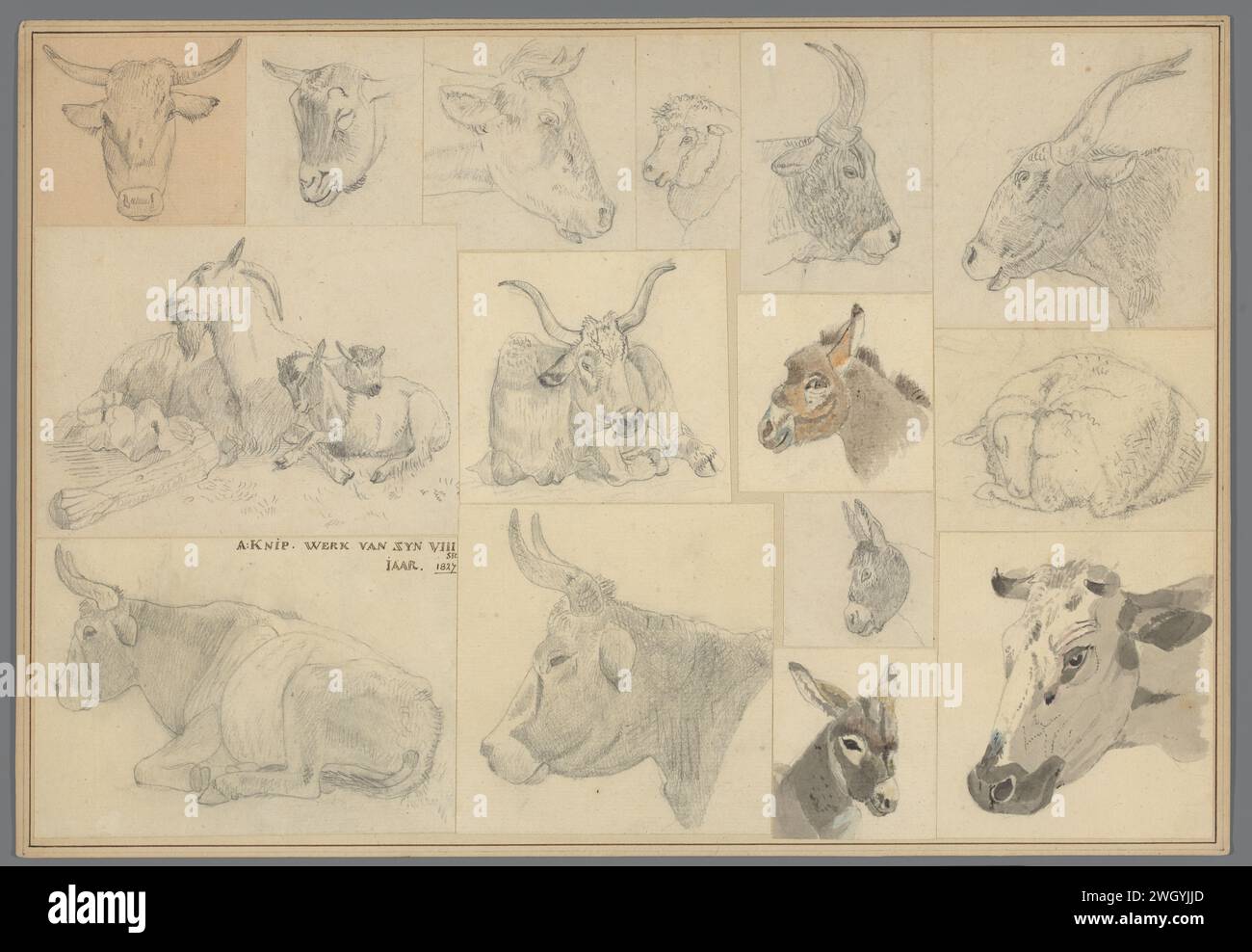 Cardboard on which 21 children's drawings are stuck, Augustus Knip ...