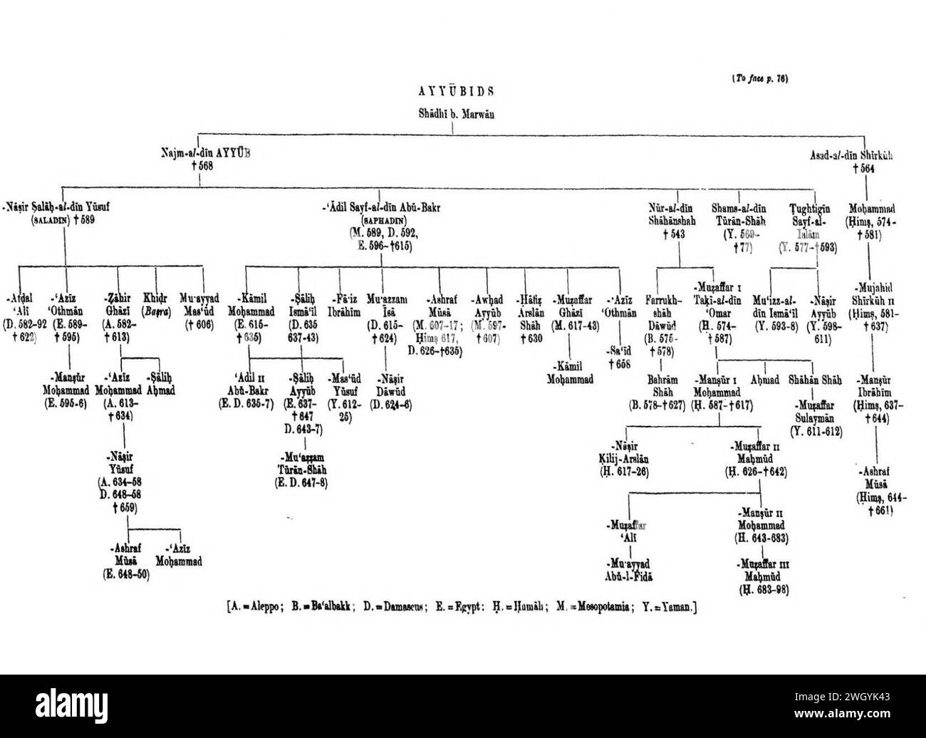 AYYUBIDS 14218-The Mohammadan Dynasties Chronological And Genealogical ...