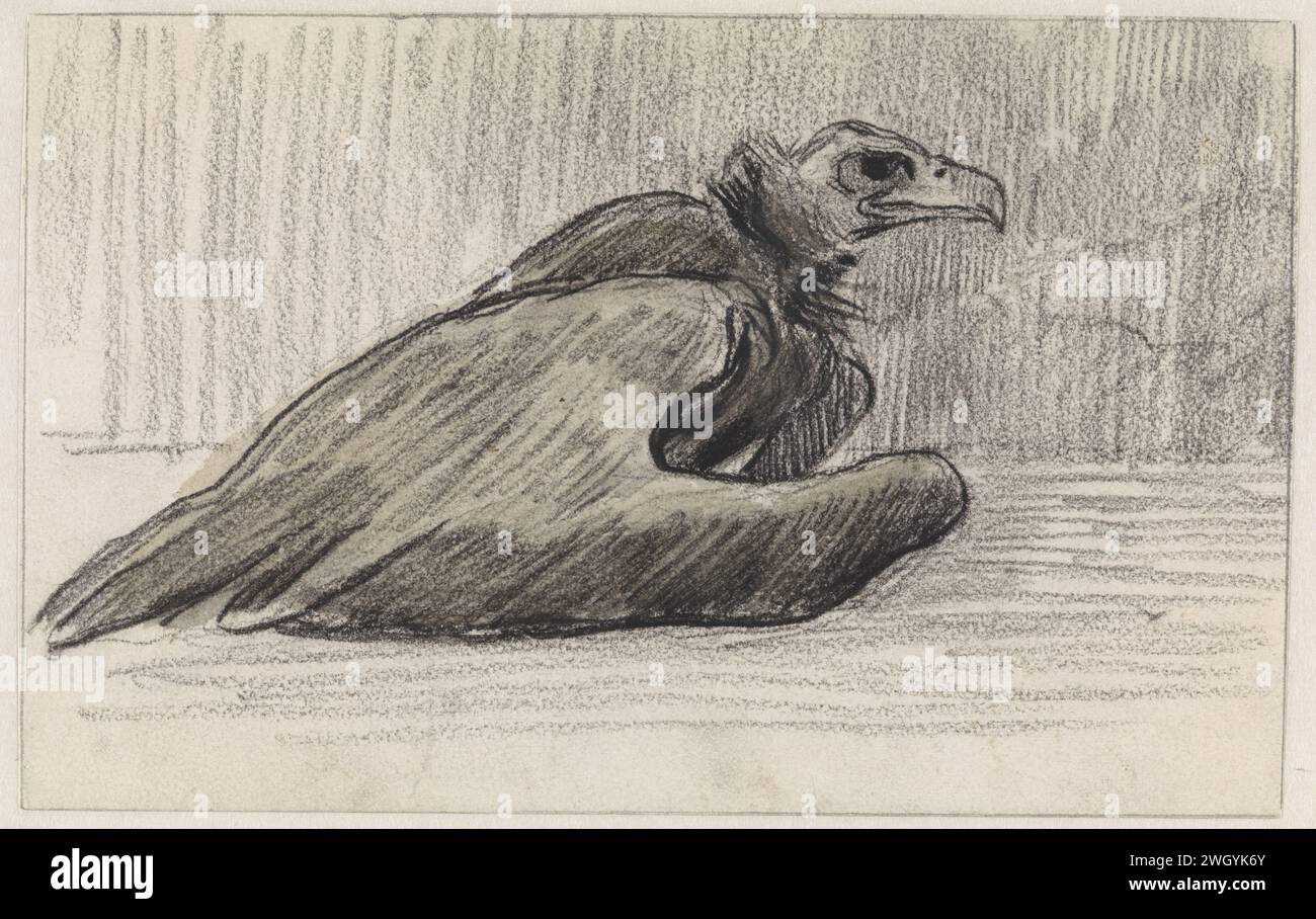 Seated Gier, to the right, Jan van Essen, 1864 - 1936 drawing paper ...