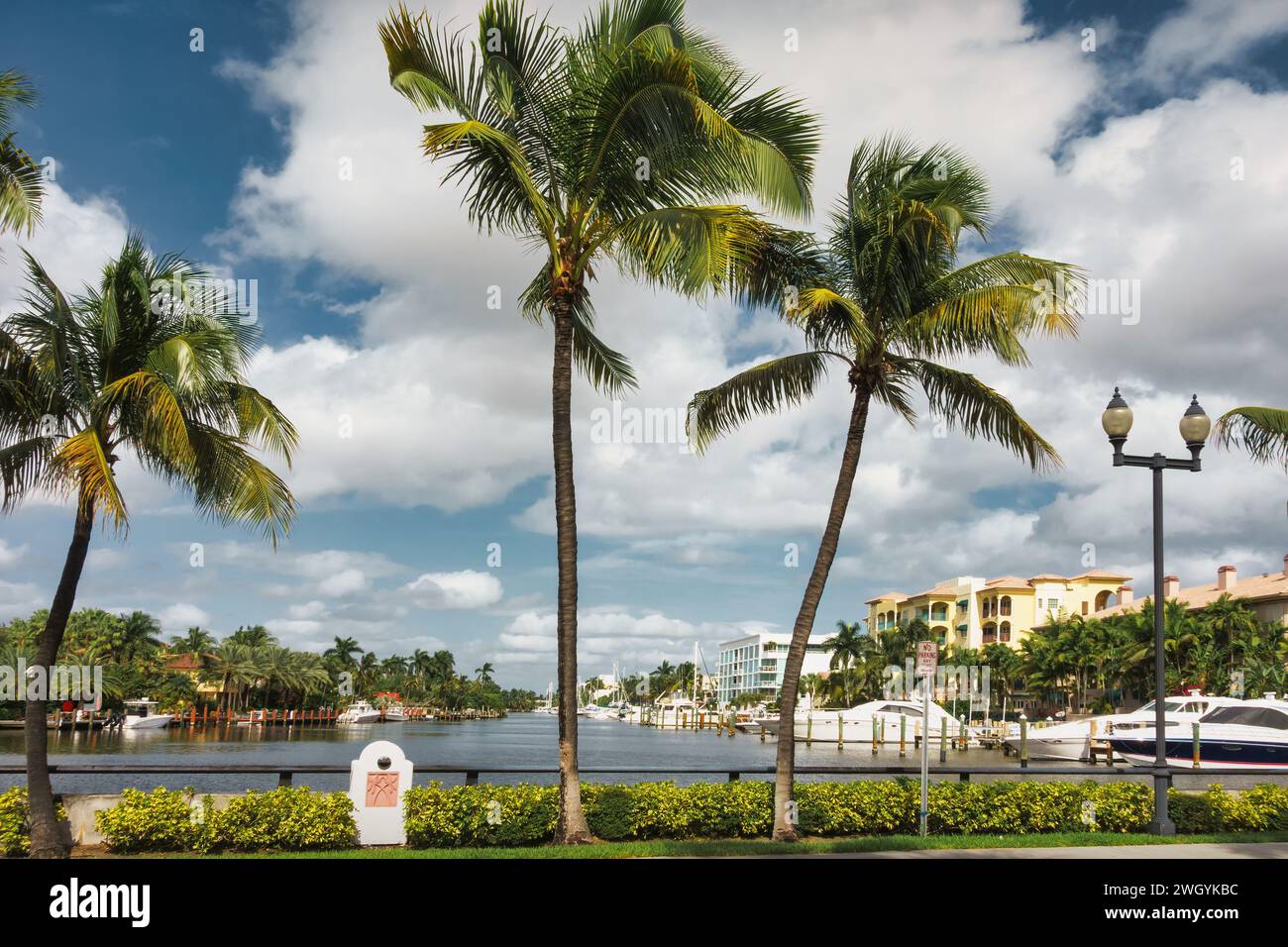 Palm trees in fort hi-res stock photography and images - Alamy