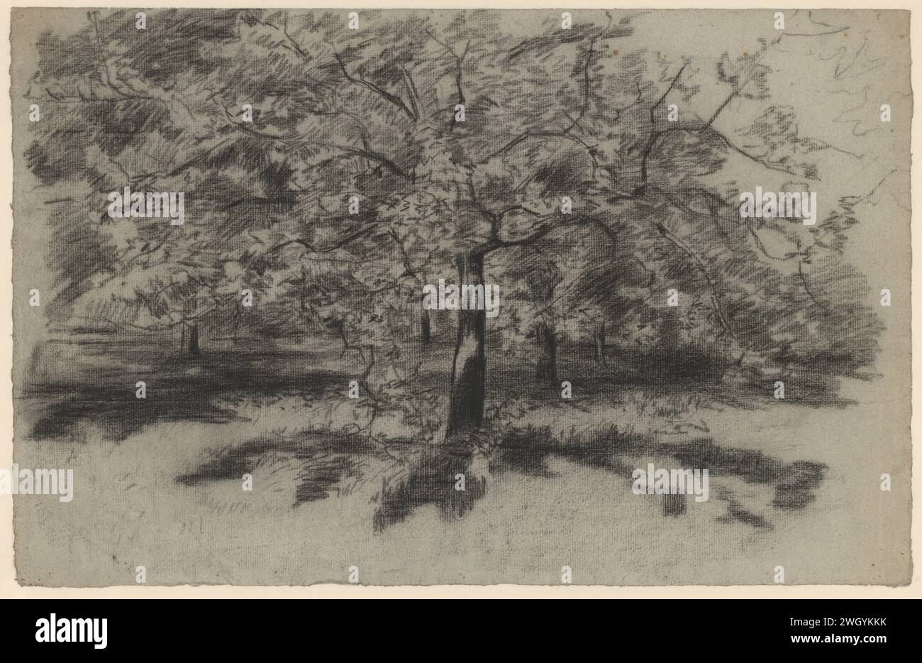 Landscape with trees, Egbert Rubertus Derk Schaap, 1872 - 1939 drawing ...