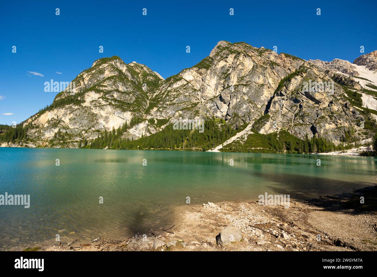 Emerald alpine lake Braies in Prags valley surrounded by Dolomites ...