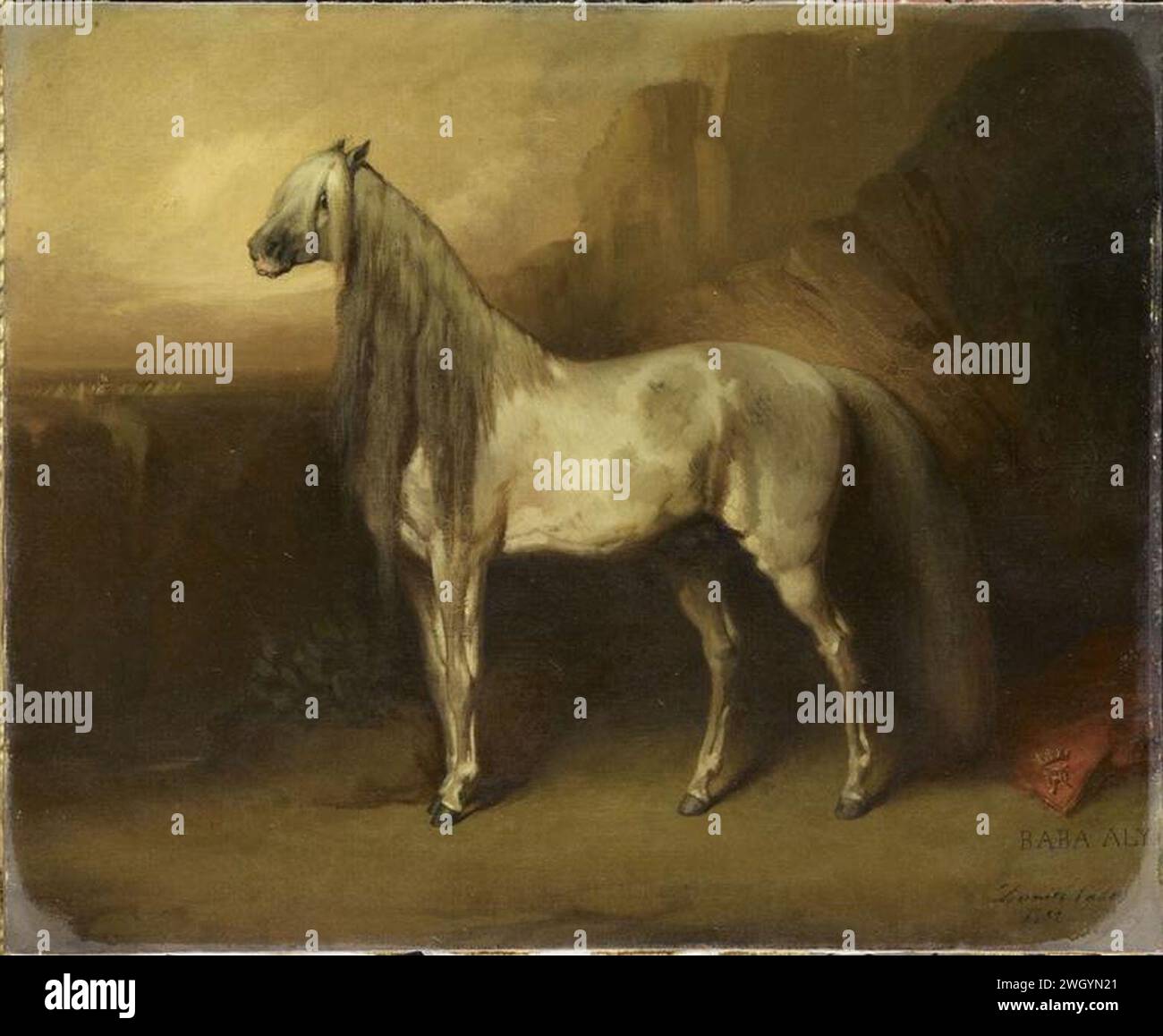 Baba-Ali - Daniel Casey Stock Photo - Alamy