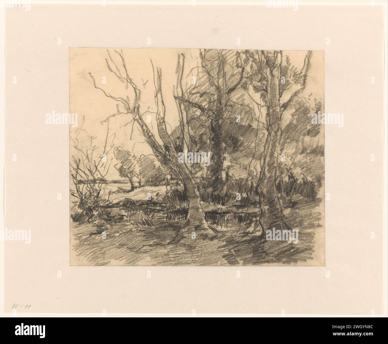 Landscape with trees, Egbert Rubertus Derk Schaap, 1872 - 1939 drawing ...