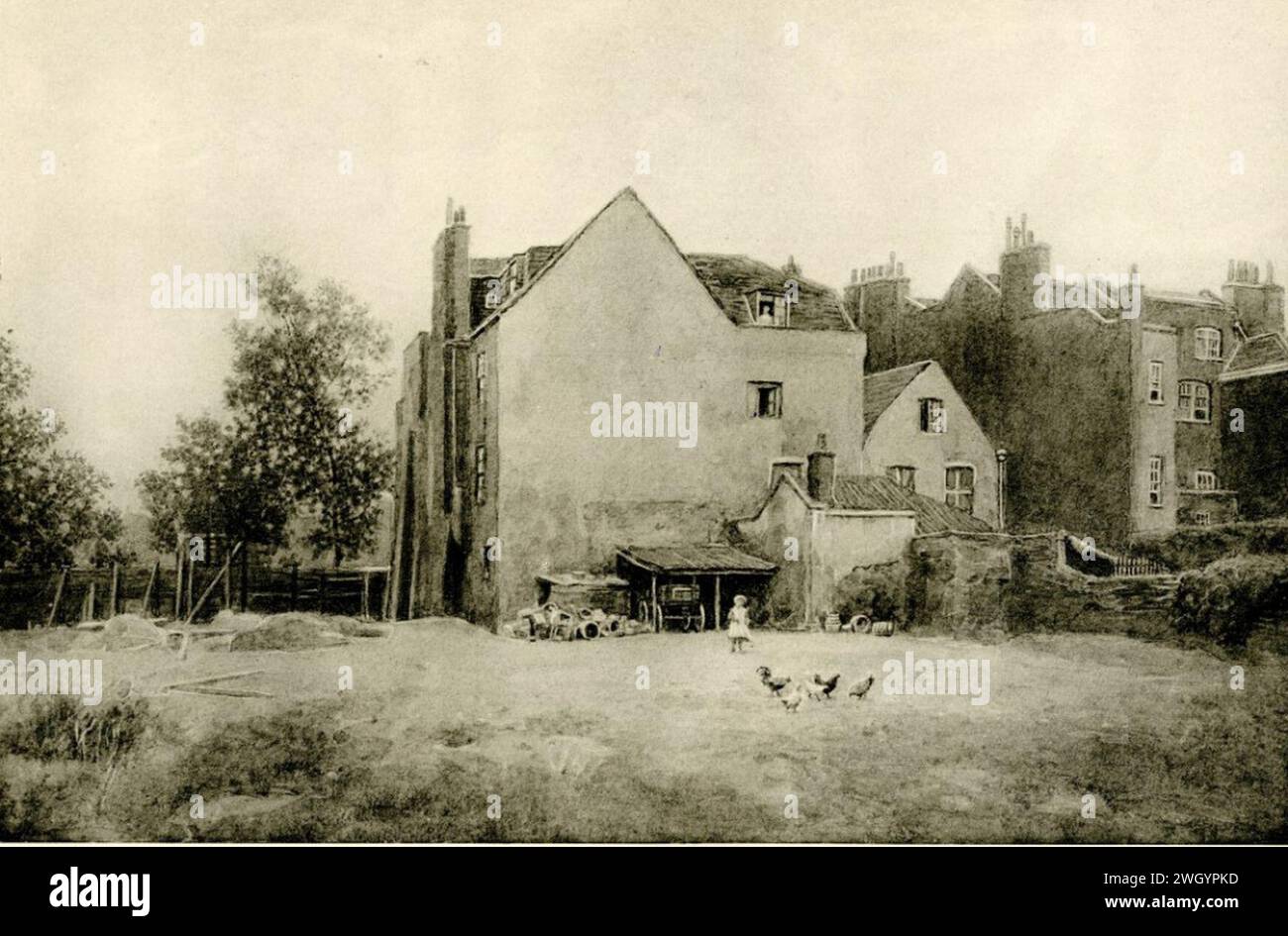 Back of old houses Cheyne Walk 1907 by Philip Norman Stock Photo - Alamy