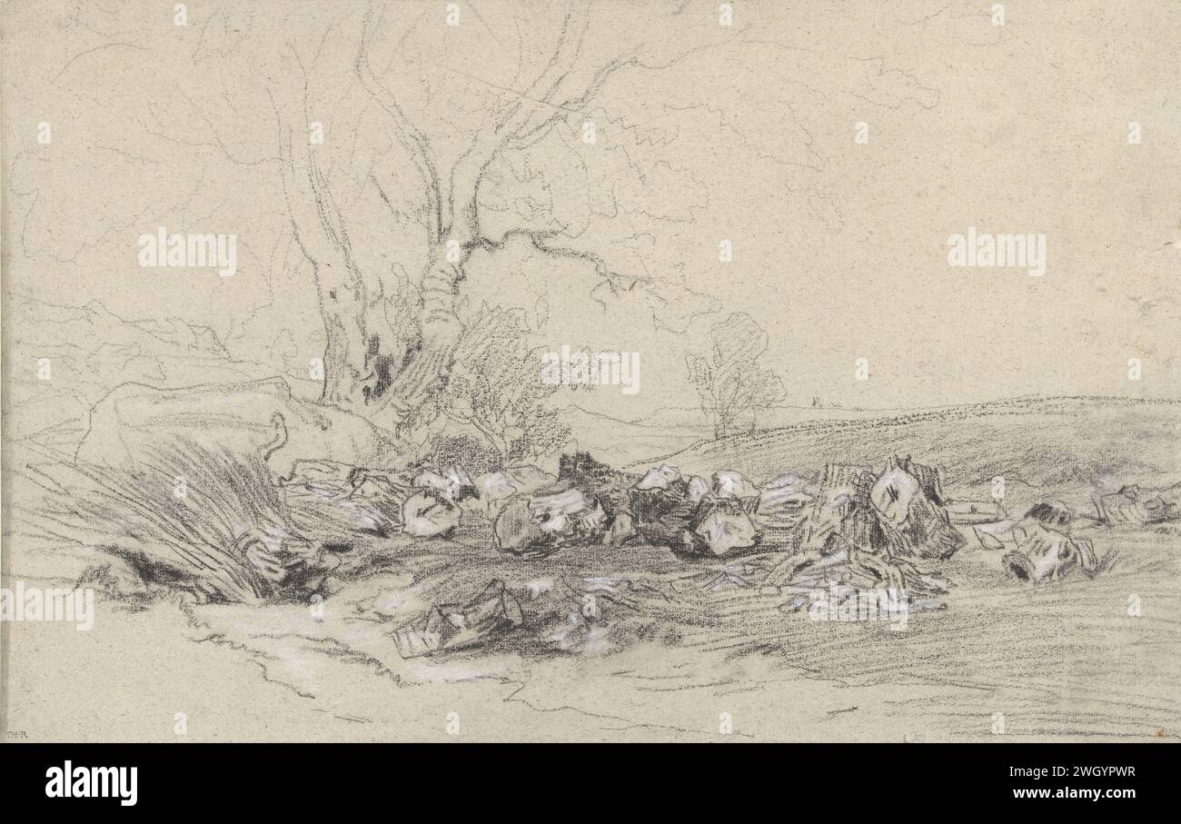 CHaked Trees, Théodore Rousseau, 1822 - 1867 drawing paper. chalk ...