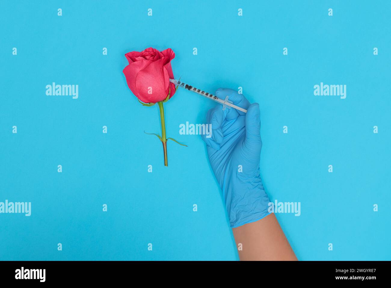 Doctor making injection to rose on light blue background, top view ...