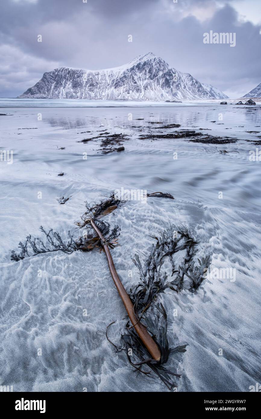 Skagsanden beach and Hustinden mountain in winter, near Flakstad ...