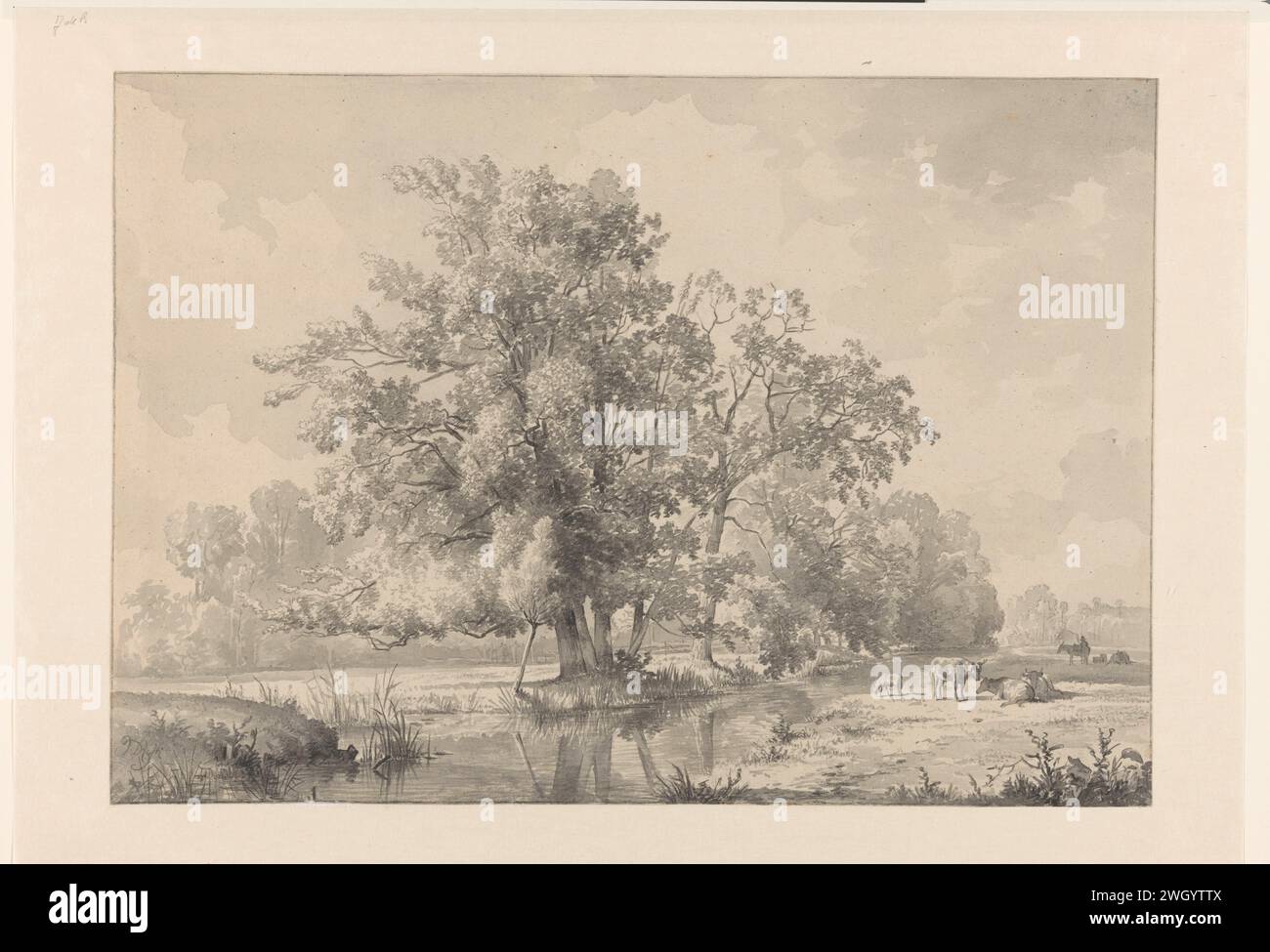 Landscape with cattle, James de Rijk, 1816 - 1882 drawing paper. chalk ...
