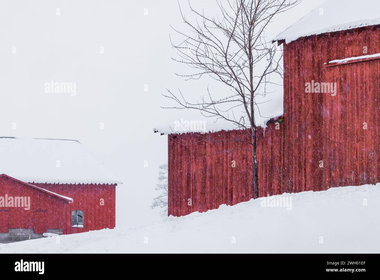 Amish building barn hi-res stock photography and images - Alamy
