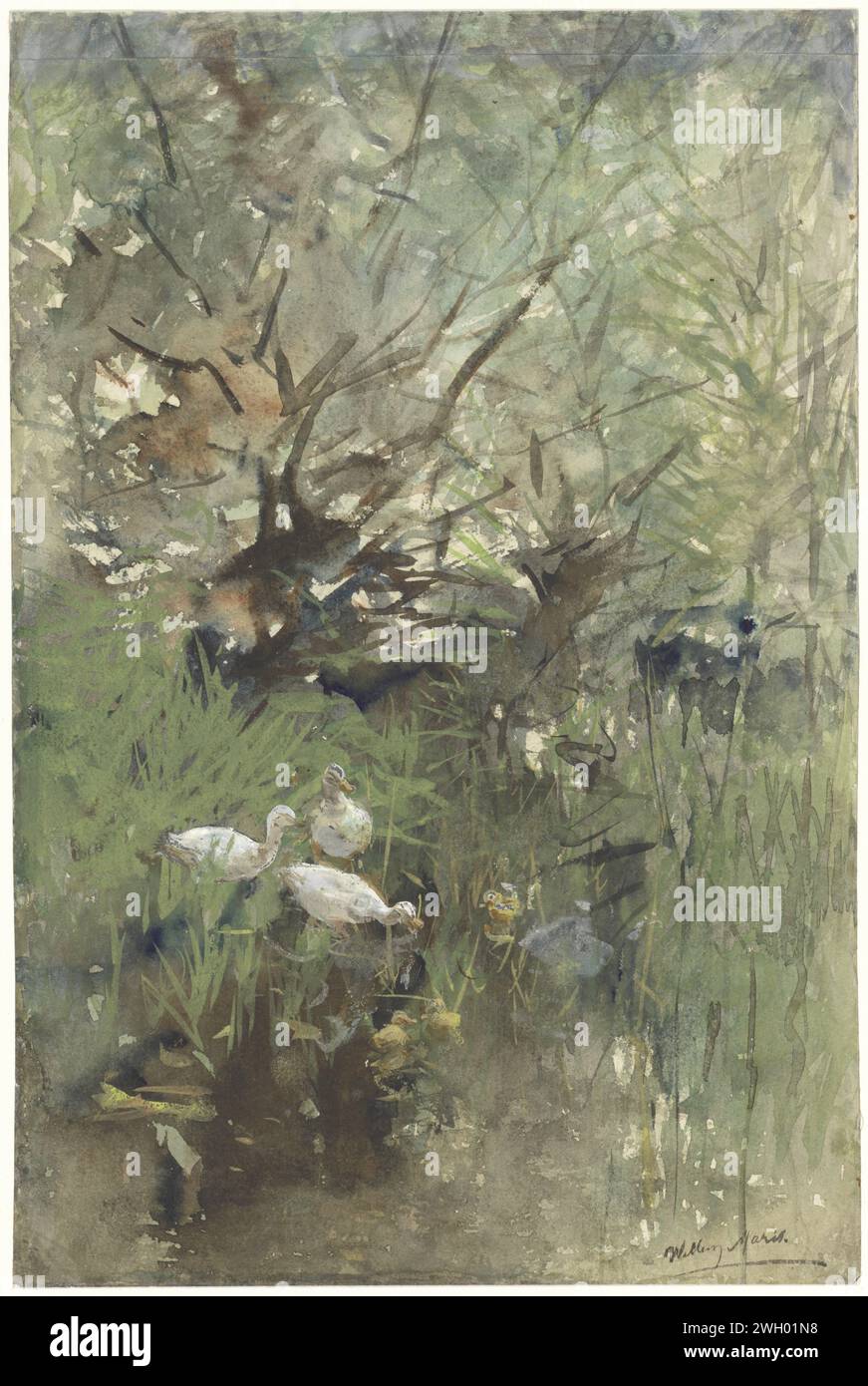 Ducks under willows, Willem Maris, 1844 - 1910 drawing paper ...