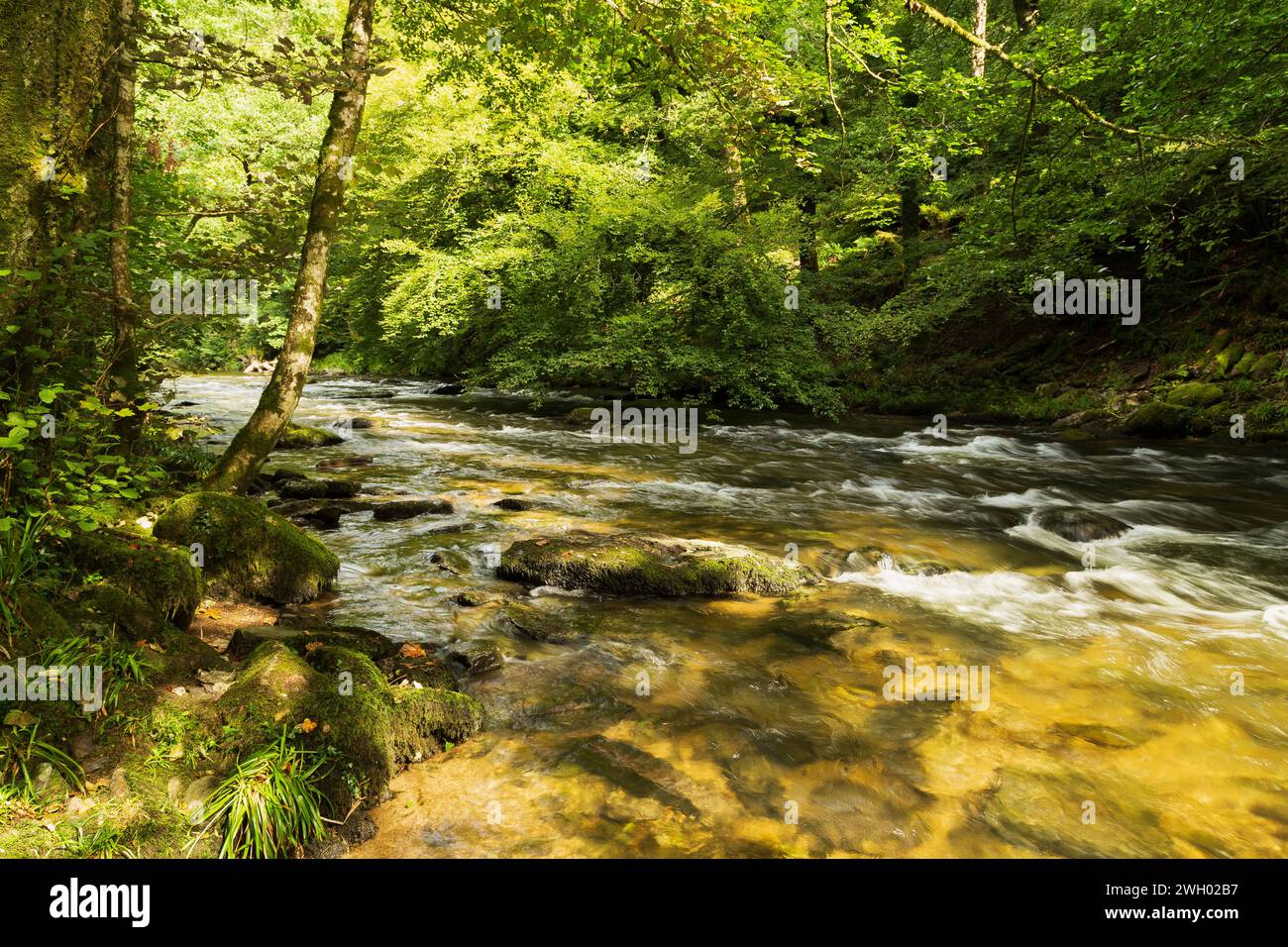 An image showing the River Barle in Somerset taken with a slow shutter ...
