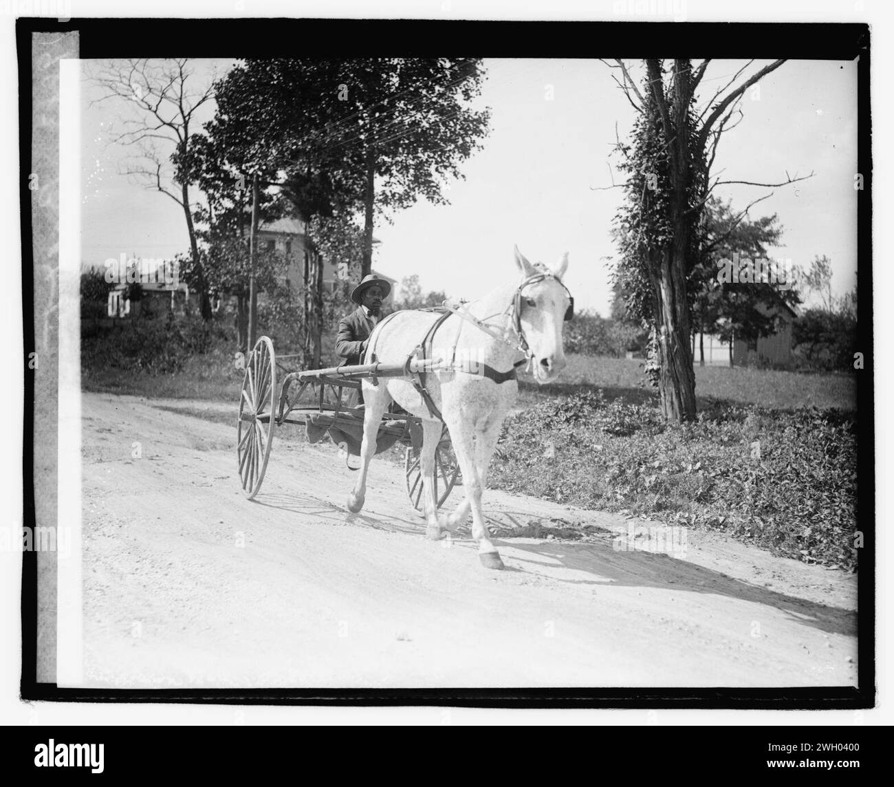 Balto Cut Out Stock Images & Pictures - Alamy