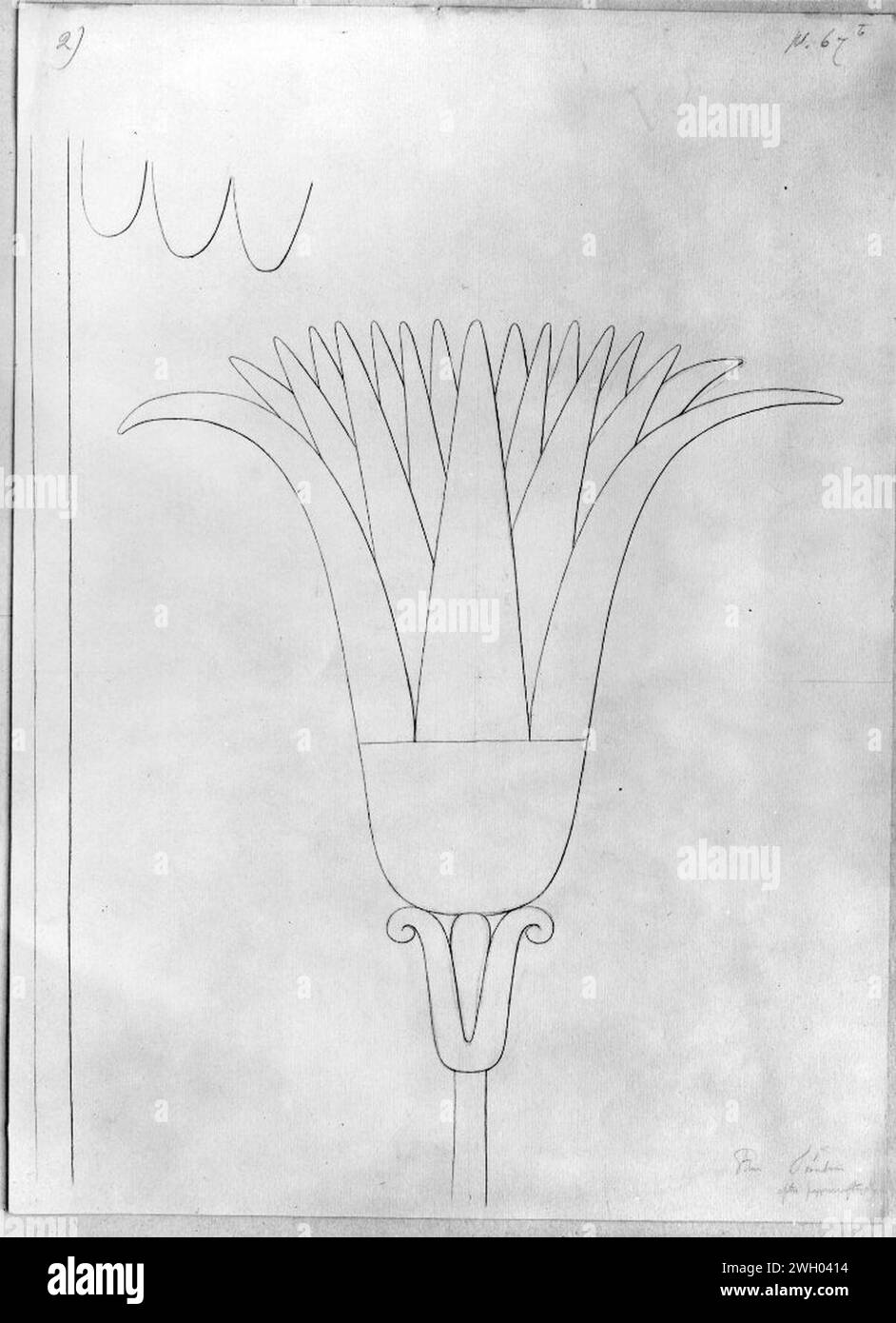 Baltzar Cronstrand - Karnak. Lotus Stock Photo - Alamy