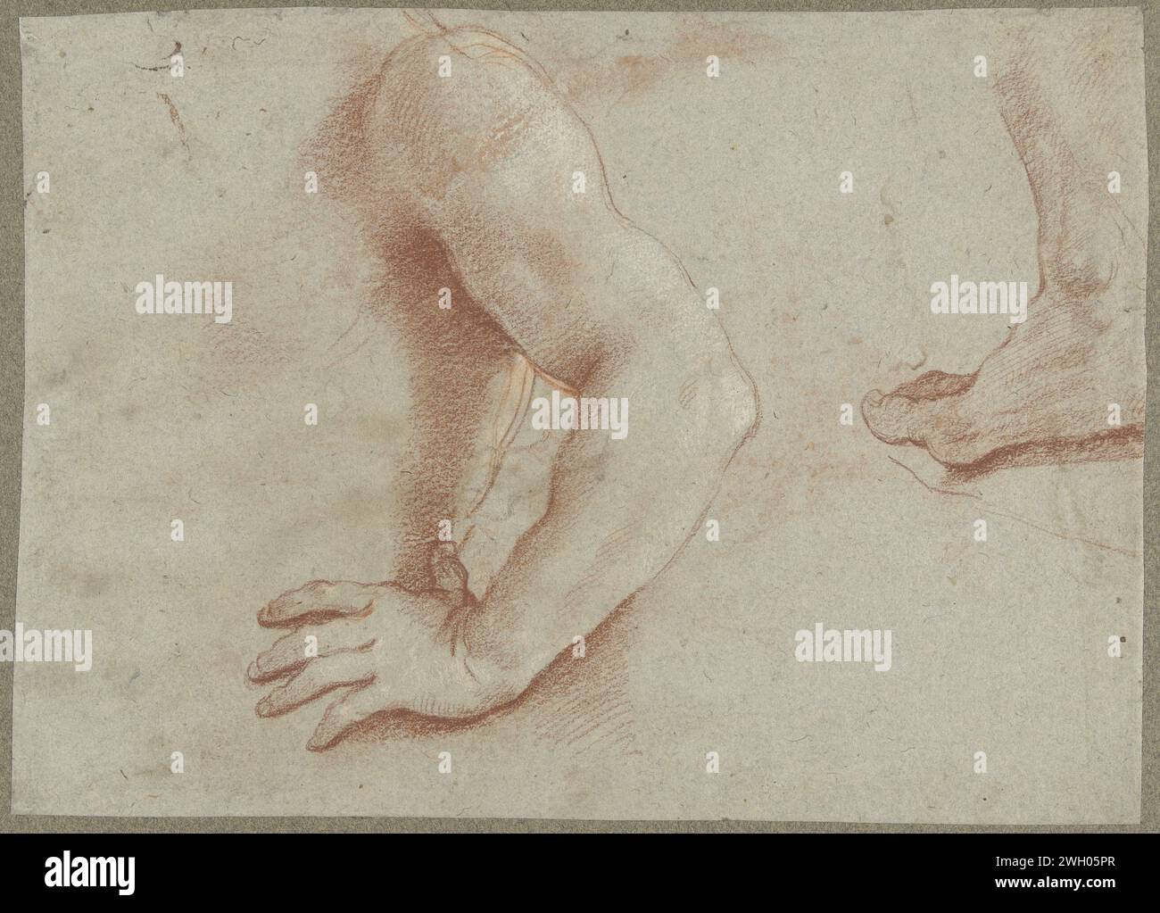 Studies for body parts of Saint Floriaan, Guido Reni, 1608 - 1616 drawing Studies for the left ...