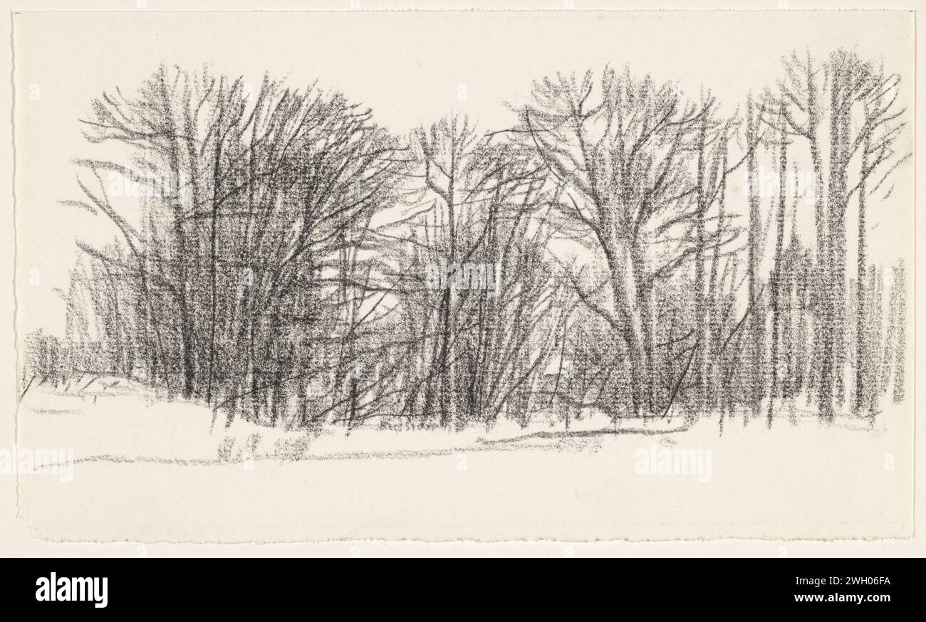Row of trees without leaf, 1939 - 2009 drawing paper. landscapes in the ...
