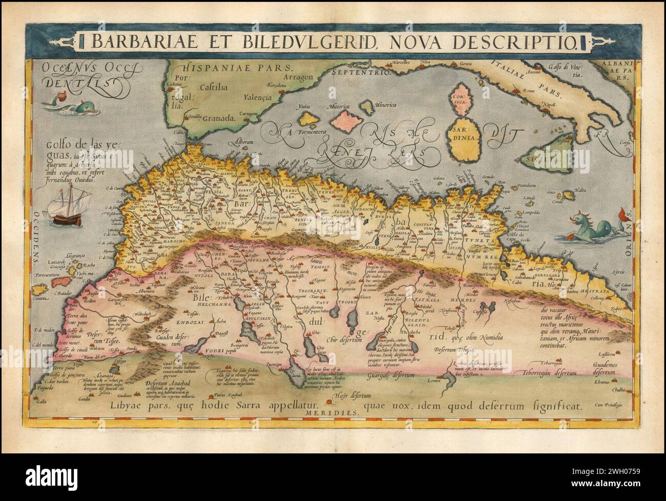 Biledulgerid hi-res stock photography and images - Alamy