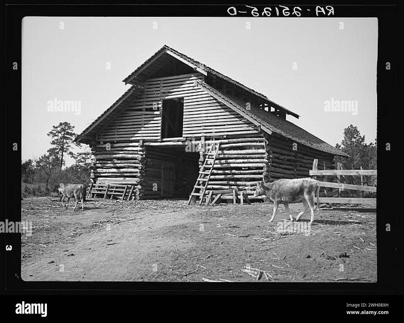 Walker county alabama hi-res stock photography and images - Alamy