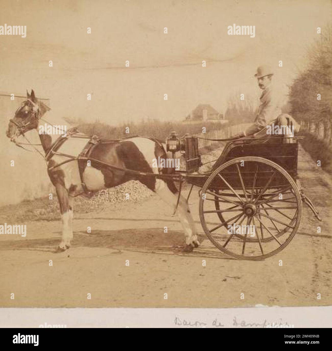 Baron de Dampiere, from an album compiled by Sir John Everett Millais ...