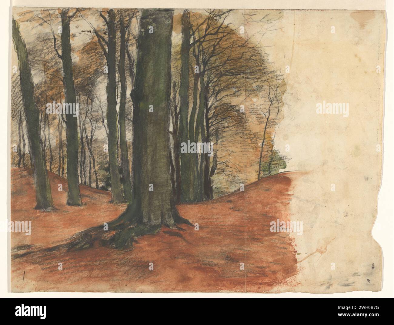 Forest face with heavy trees, Willem Witsen, 1870 - 1923 drawing paper ...