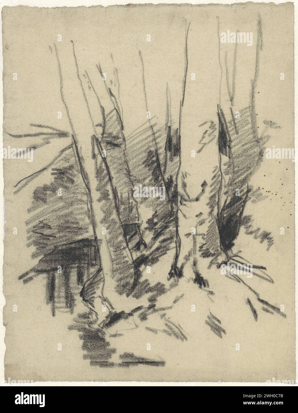 Study of four tree trunks, Egbert Rubertus Derk Schaap, 1872 - 1939 ...