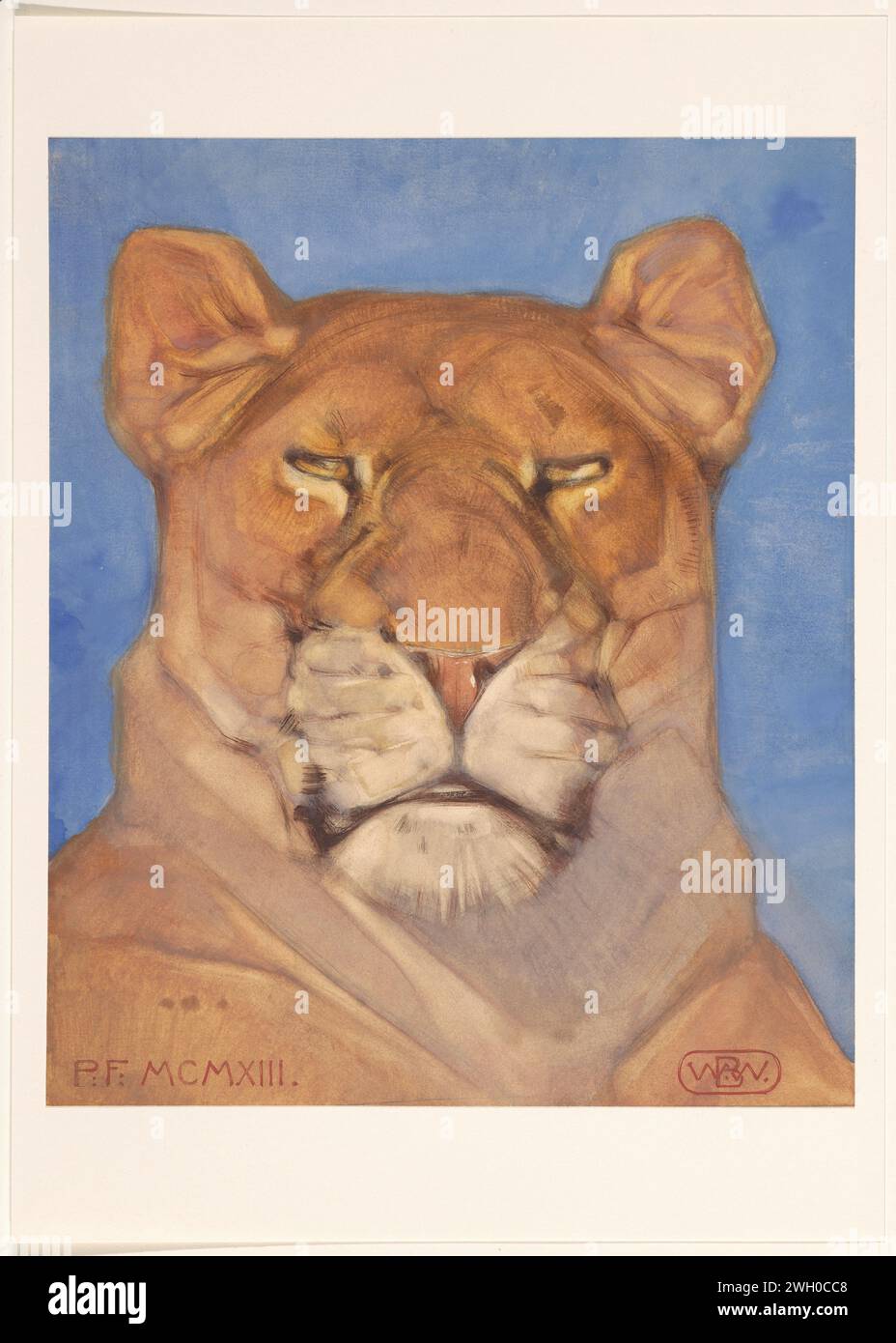 Kop van A Leeuwin, Bernard Willem Wierink, 1866 - 1939 drawing paper ...