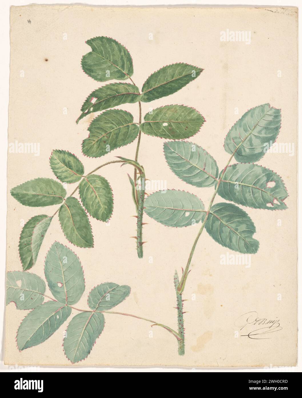 1830 drawing hi-res stock photography and images - Alamy