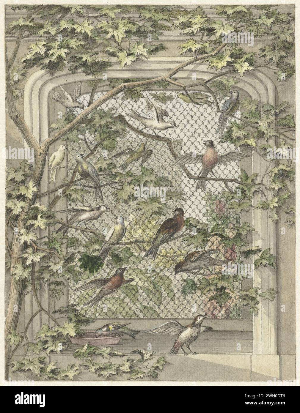 Aviary with fourteen birds, Aert Schouman (Possible), 1720 - 1792 ...
