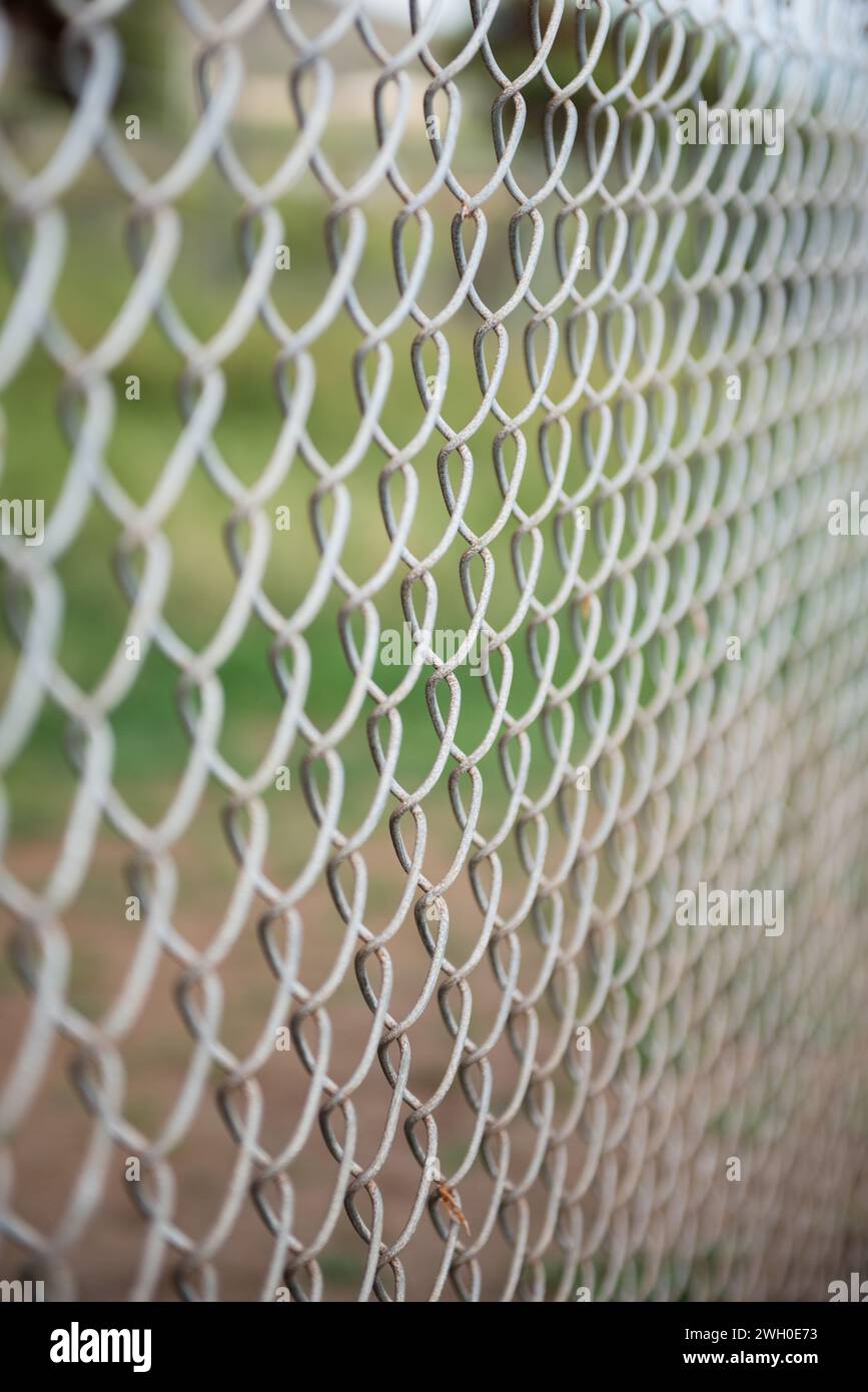 Fence with metal grid in perspective. Metal chain-link fence as the ...