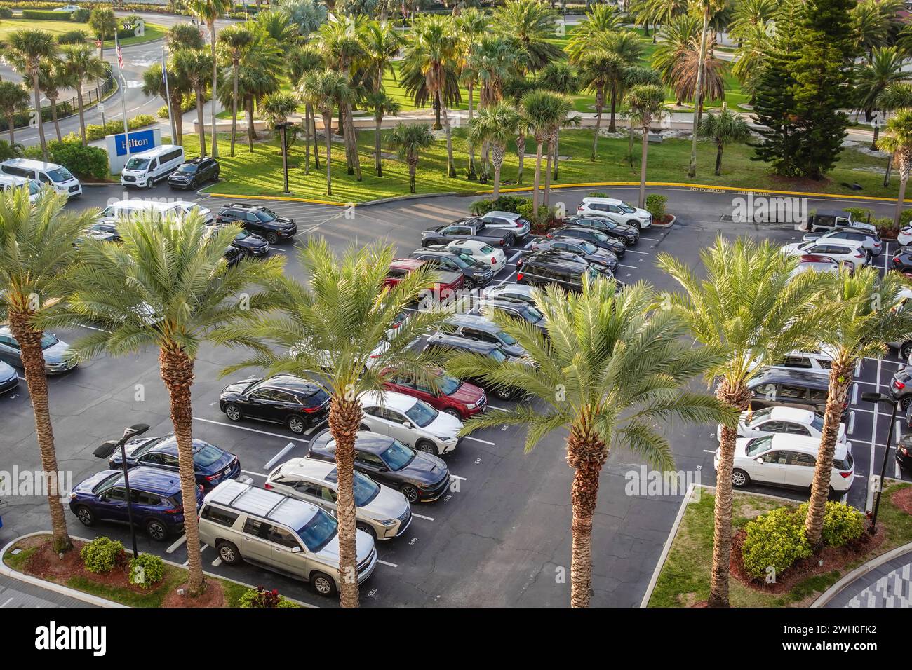Busy Florida parking lot with palm trees Stock Photo - Alamy