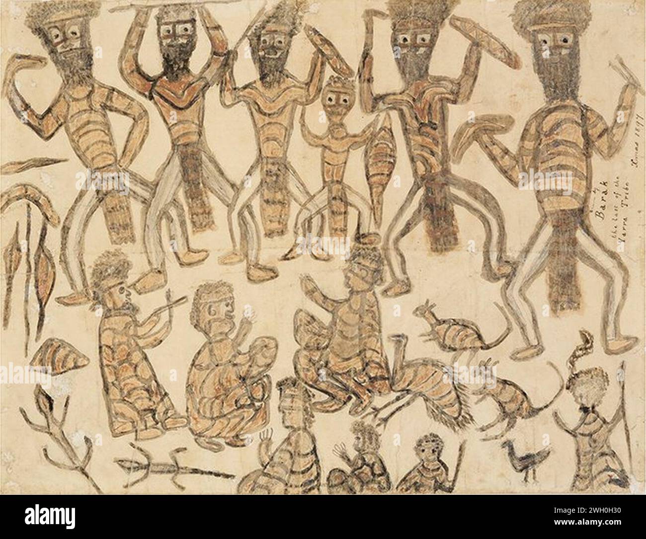 William barak hi-res stock photography and images - Alamy