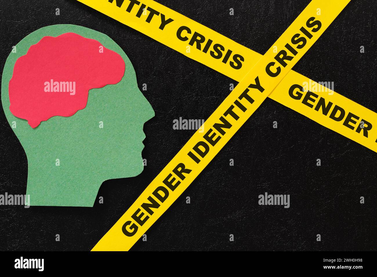 Human head profile with word gender identity crisis in dark black ...