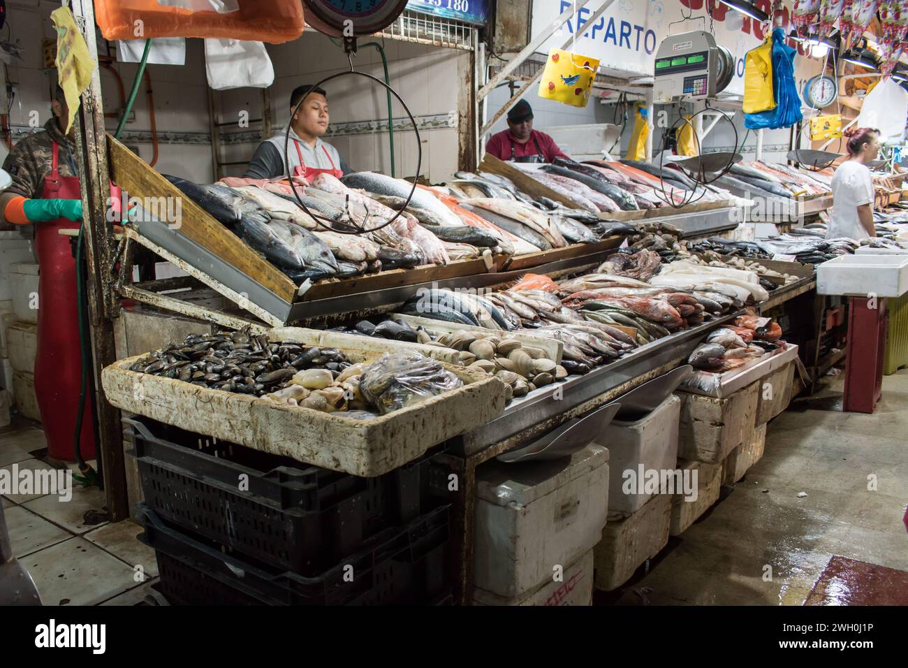 The Mercado Central, is a vibrant and bustling marketplace located in ...
