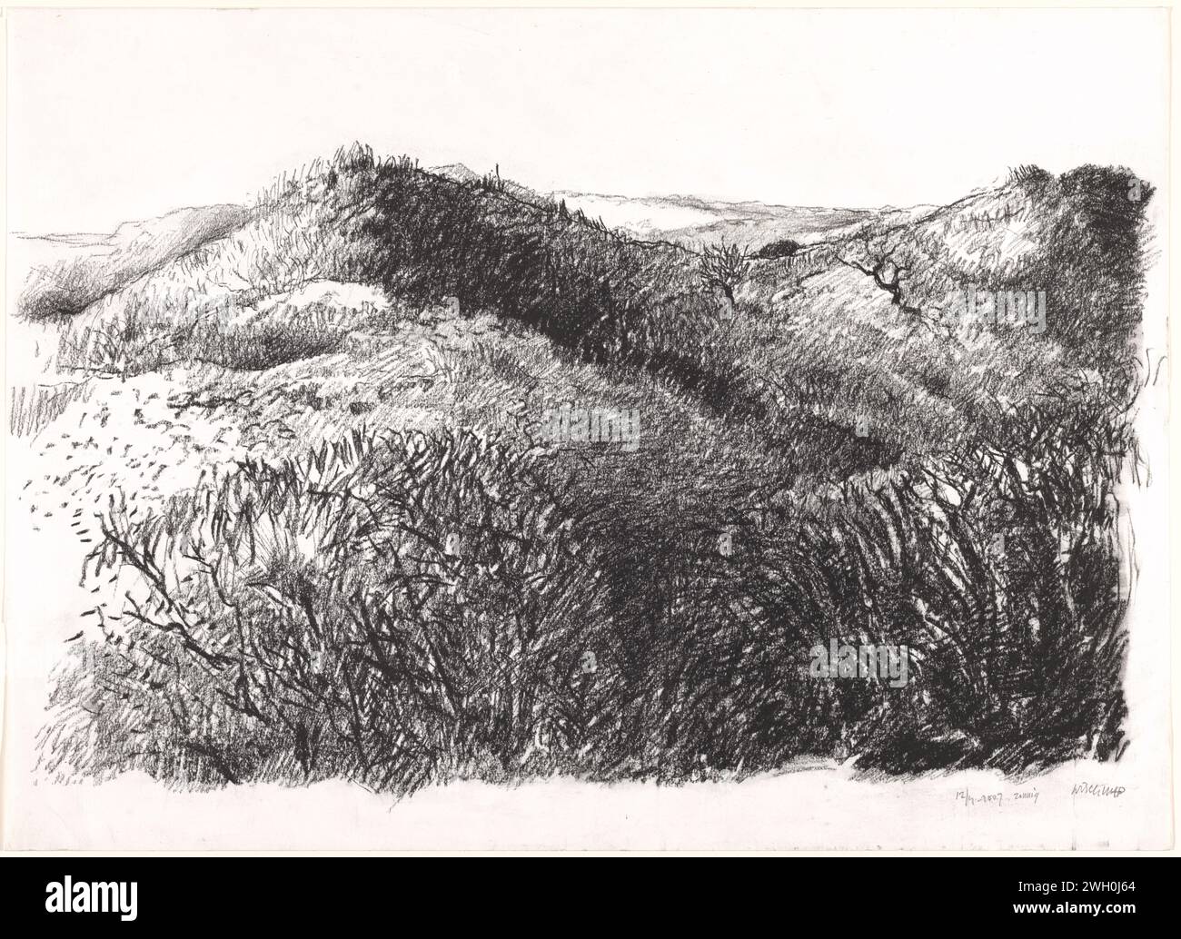 'Sunny' Duin landscape, 2007 drawing View of two exposed dune tops, in ...