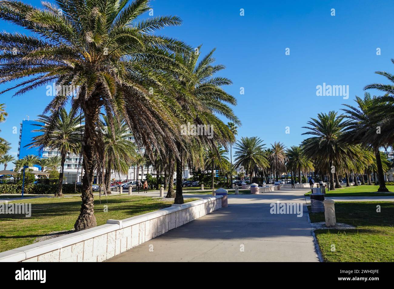 Concrete path in tropical hi-res stock photography and images - Alamy