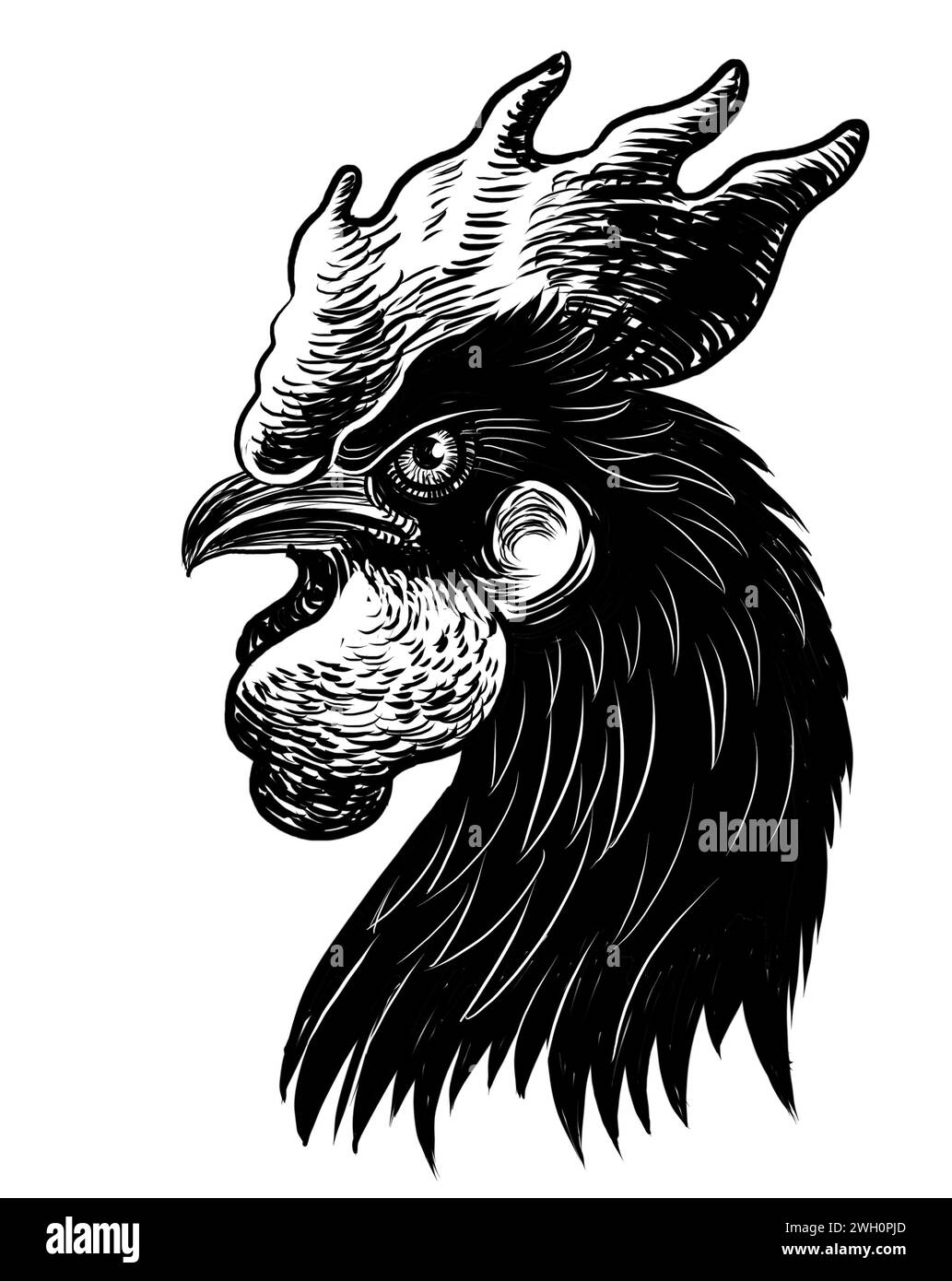 Black rooster head. Hand-drawn black and white illustration Stock Photo ...
