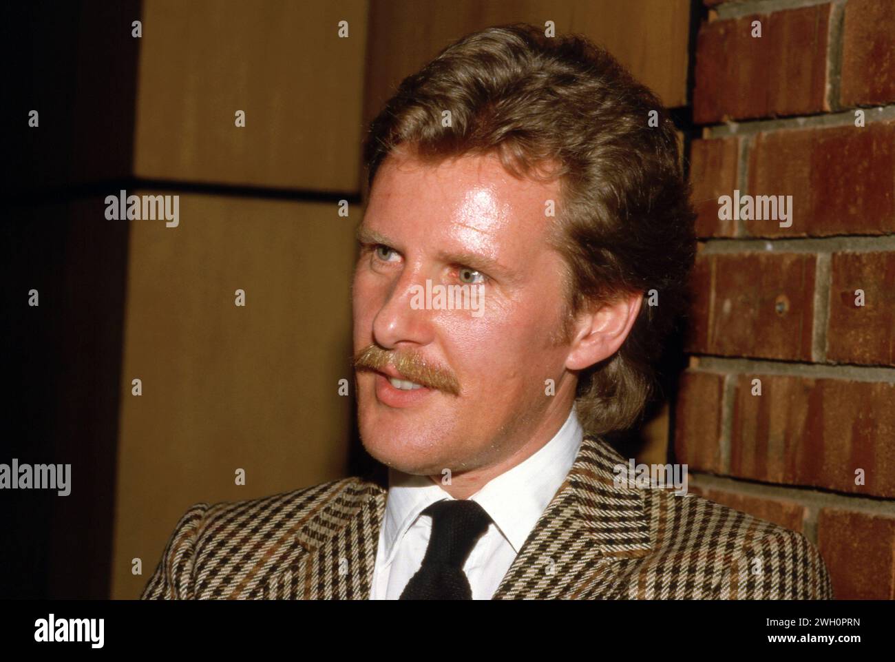 David Robb Circa 1980's Credit: Ralph Dominguez/MediaPunch Stock Photo ...