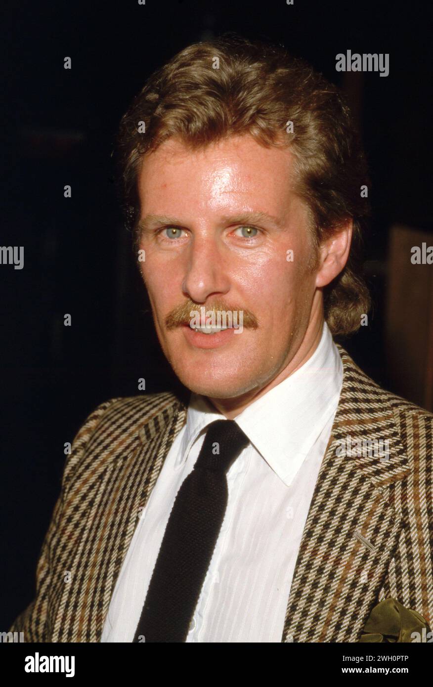 David Robb Circa 1980's Credit: Ralph Dominguez/MediaPunch Stock Photo ...