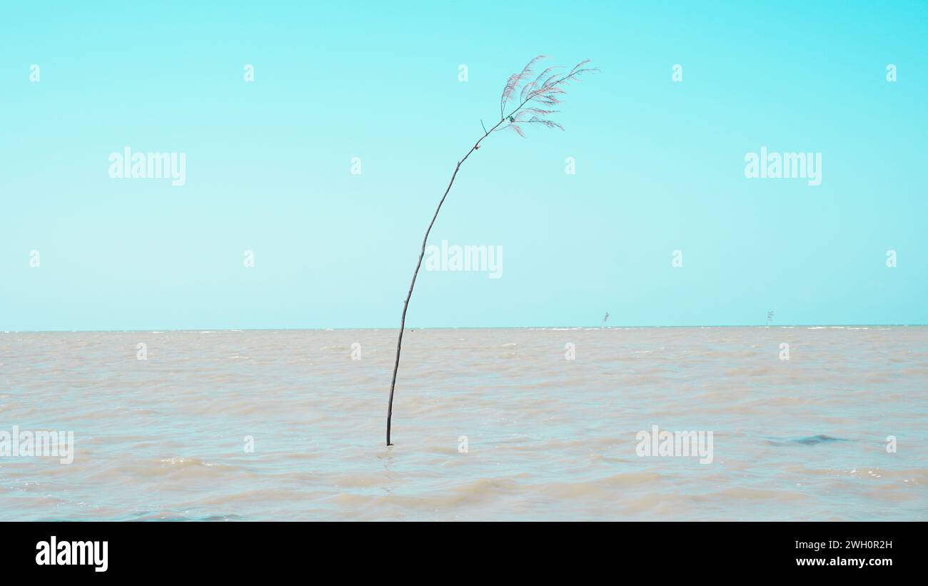 A minimalist and simple image that shows blue skies, trees with a ...